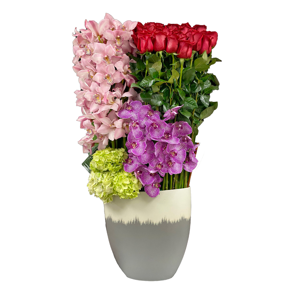 Delightfully Refreshing - Contemporary Floral Arrangement for Same-Day ...