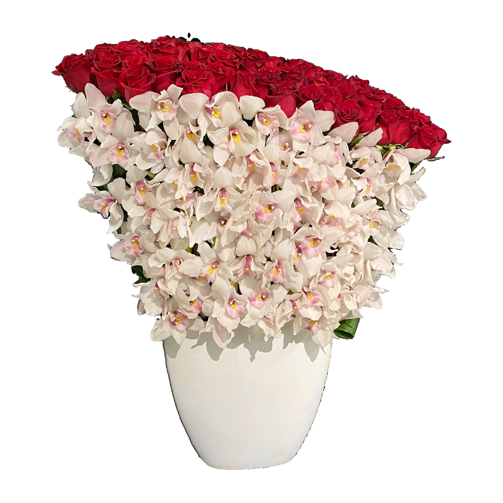 Afv995-1 – Amazing Flowers Boca